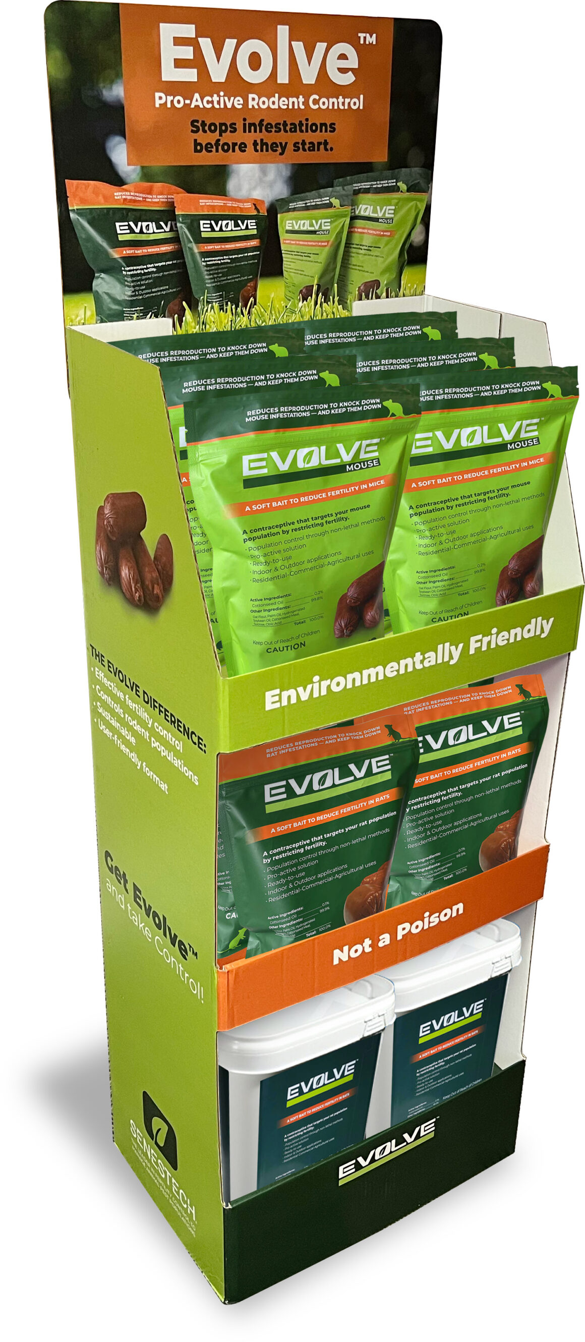 Custom Cardboard Display Solutions | Catalpha